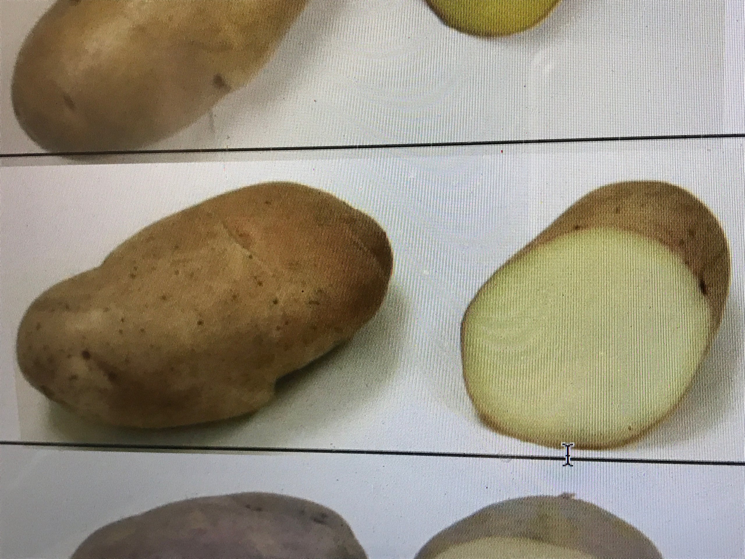 Potatoes, AK Certified 'Cal White' | Forget Me Not Nursery | Indian, Alaska